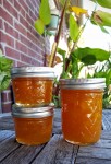 Mango Lime Jam with Ginger « Eliot's Eats