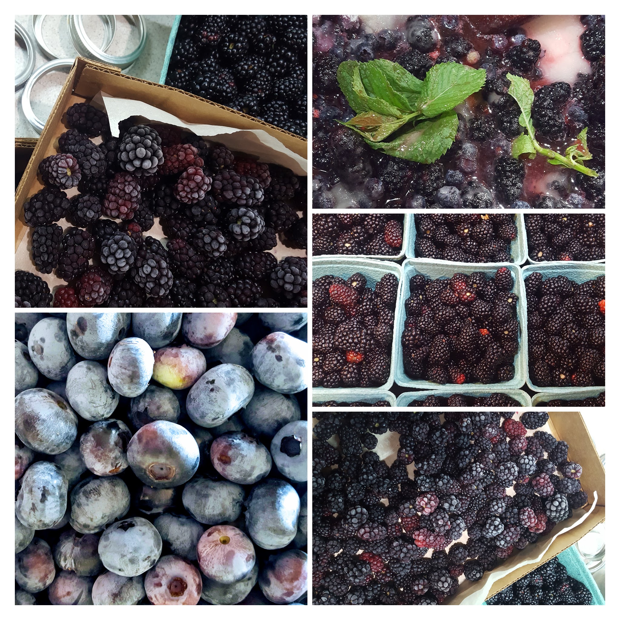 A Very Berry Good Time « Eliot's Eats